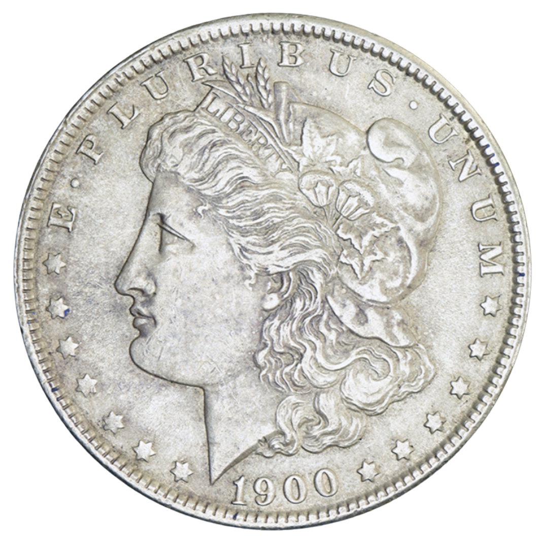 Understanding Coin Grading Basics